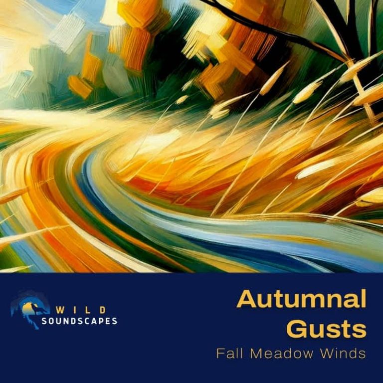 Wild Soundscapes - Free Nature Sounds For Sleep & Well-Being