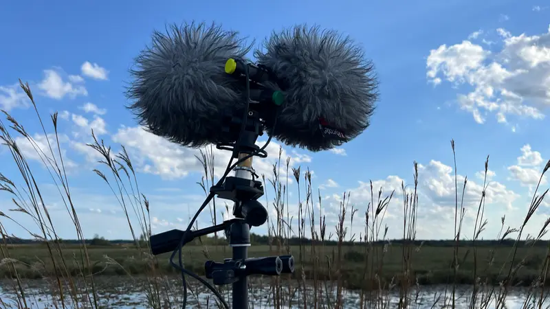 Autumnal Wind Gusts » Wild Soundscapes